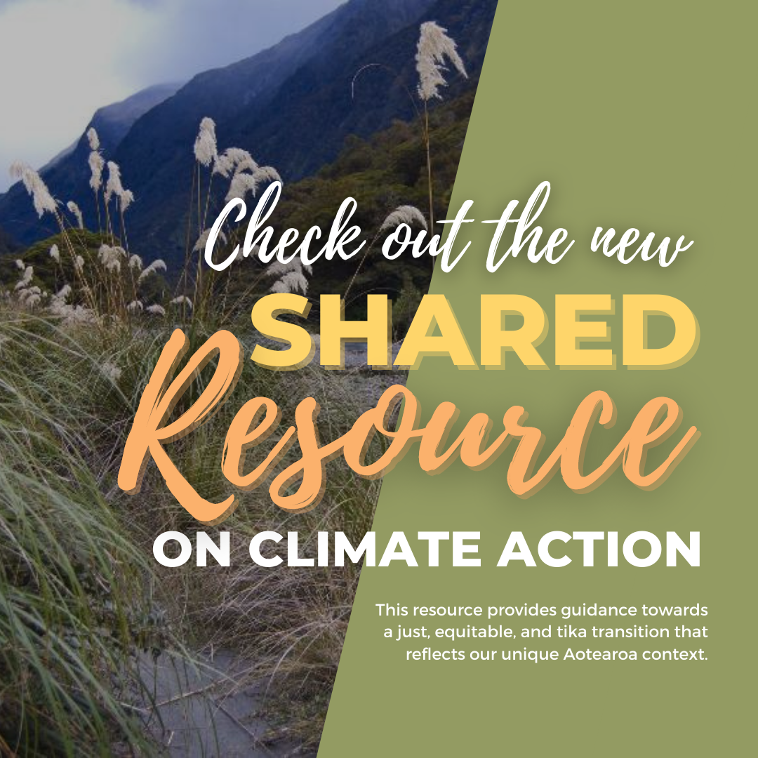 Climate Action Aotearoa launches ‘Shared Resource’ for funders ...